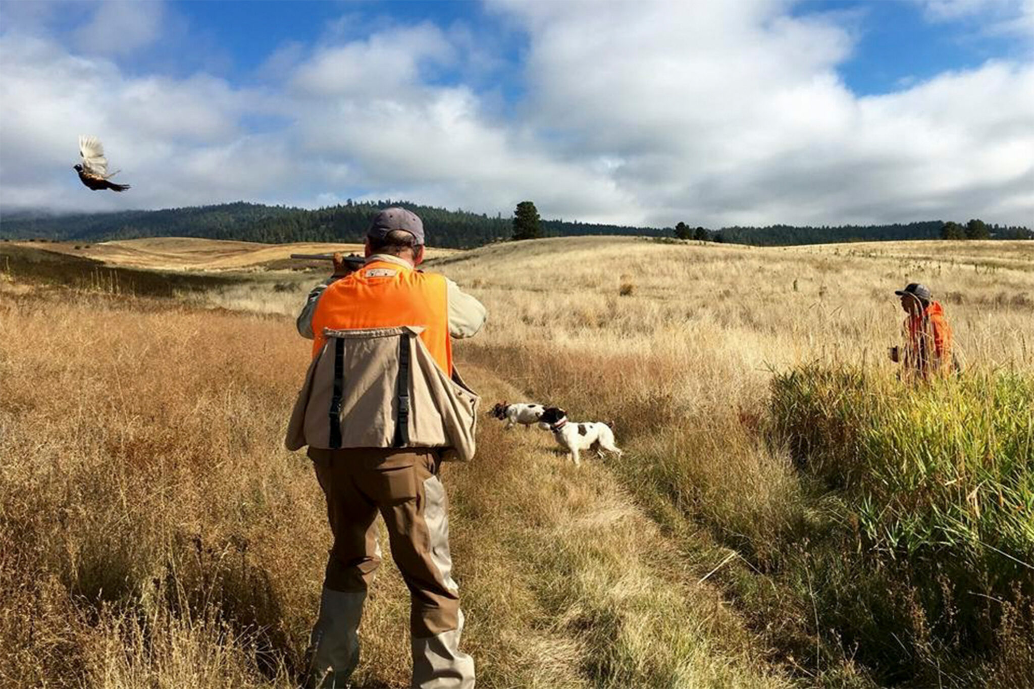 Upland Bird Hunting Packages – Upland Bird Ranch