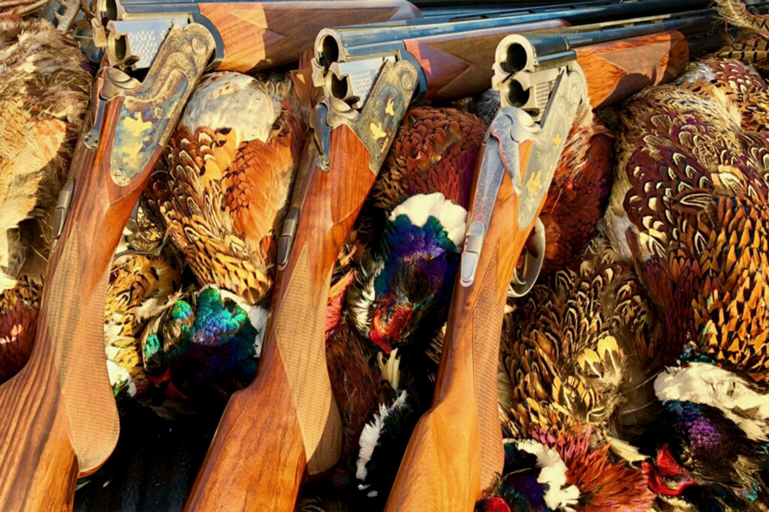 Upland Bird Hunting Packages – Upland Bird Ranch