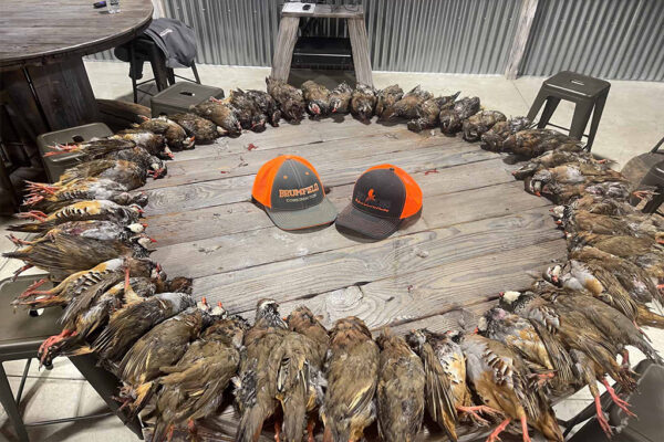 Upland Bird Hunting Packages – Upland Bird Ranch