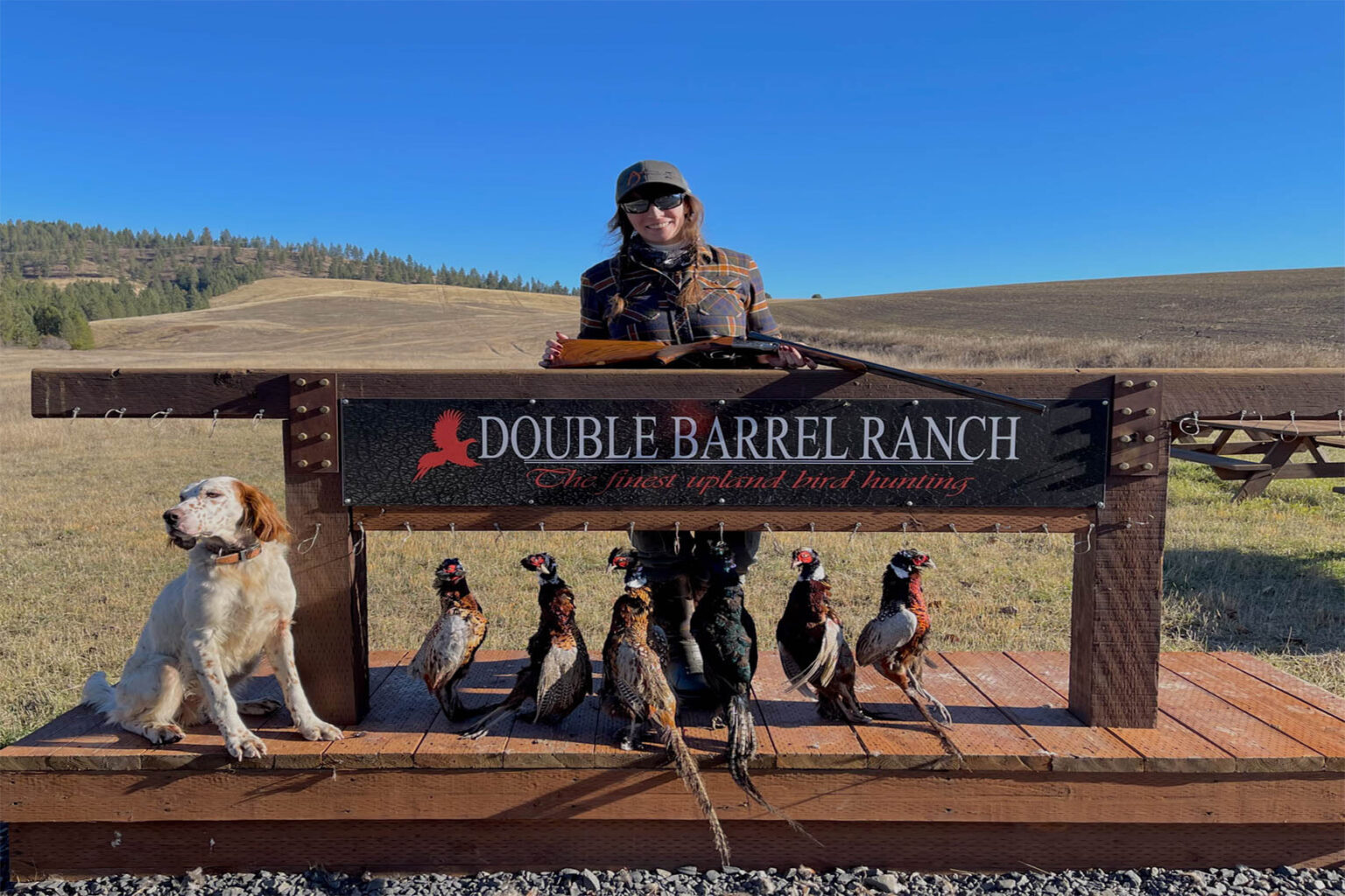 Pheasant Hunting Packages - Upland Bird Ranch