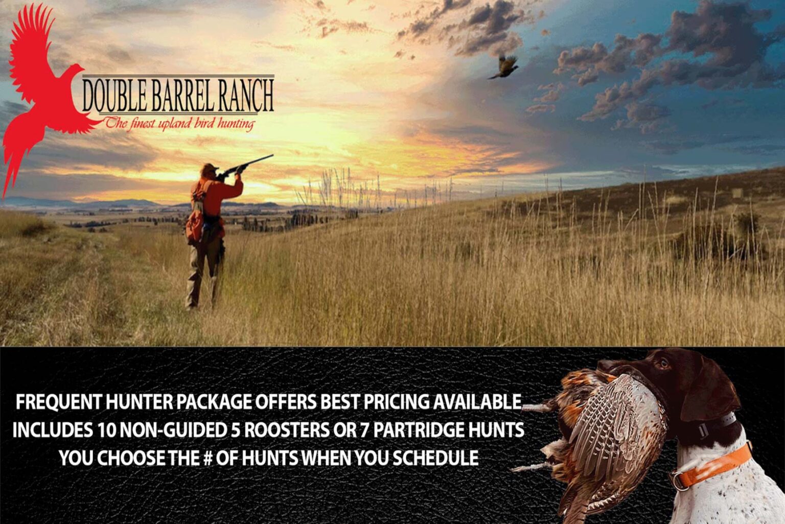 Upland Bird Hunting Packages – Upland Bird Ranch