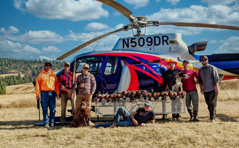 Your First Guided Pheasant Hunt - What to Expect at an Eastern ...